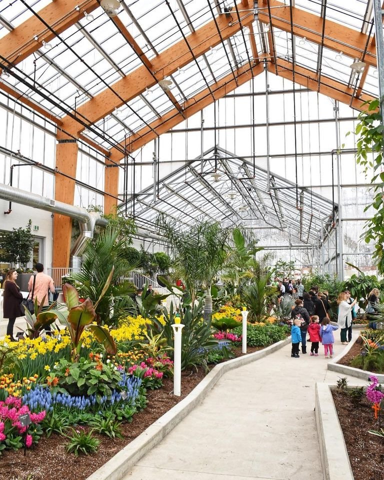 Hamilton Fall Garden & Mum Show