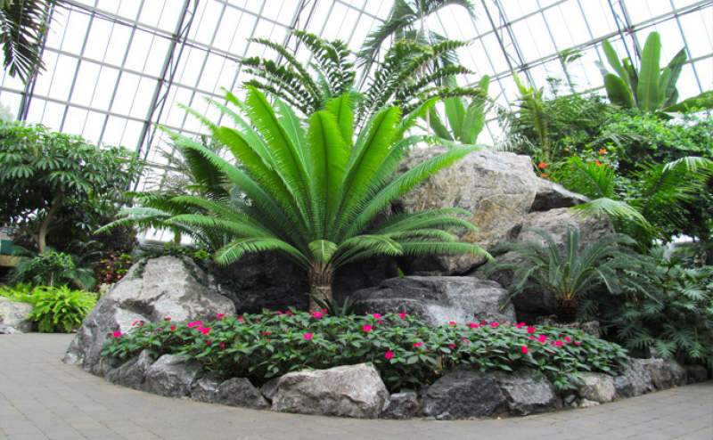 Muttart Conservatory