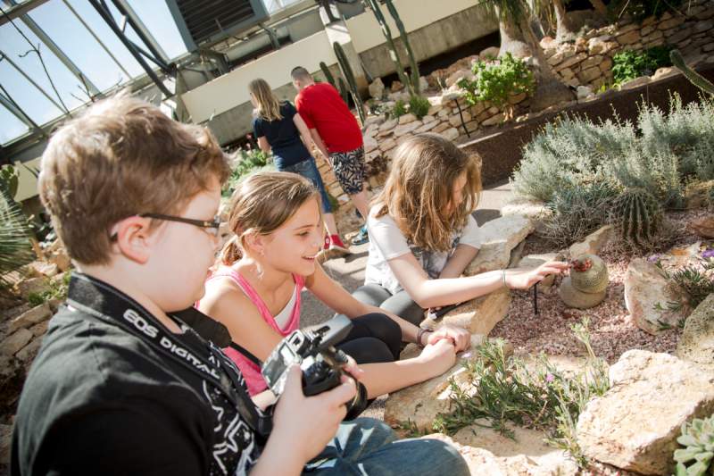 Muttart Conservatory