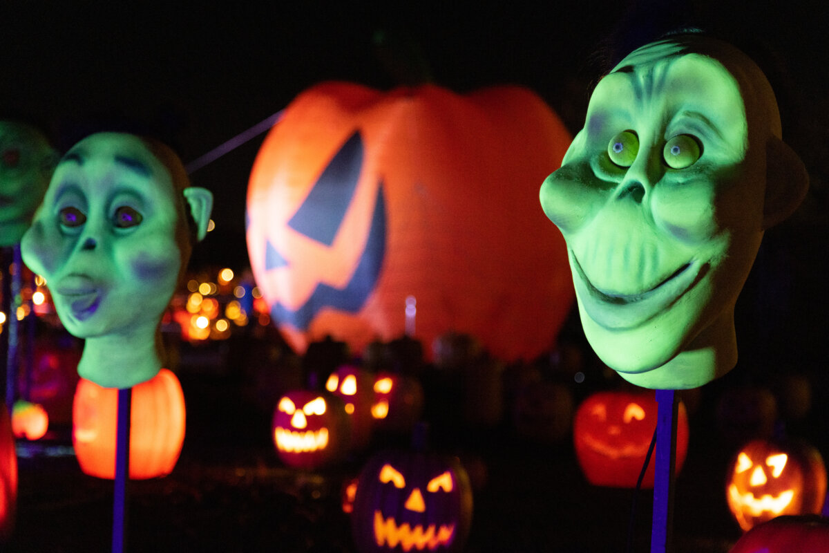Illumi Mississauga Turns Spooktacular with a Dazzling Halloween Show ... Illumi Mississauga Turns Spooktacular with a Dazzling Halloween Show ...