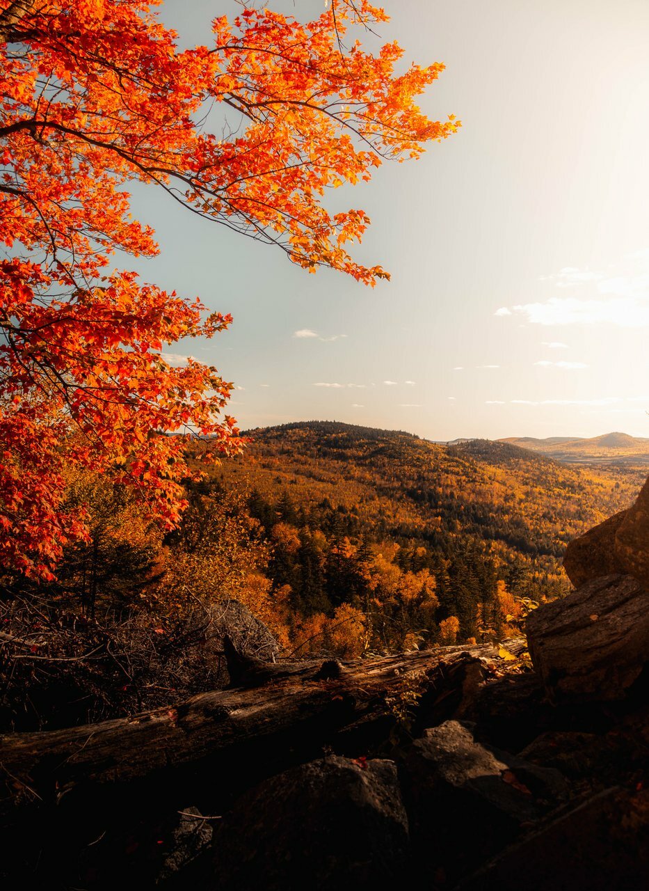 Experience Changing Seasons on the Sussex Bluff Trail: Make the Best of ...