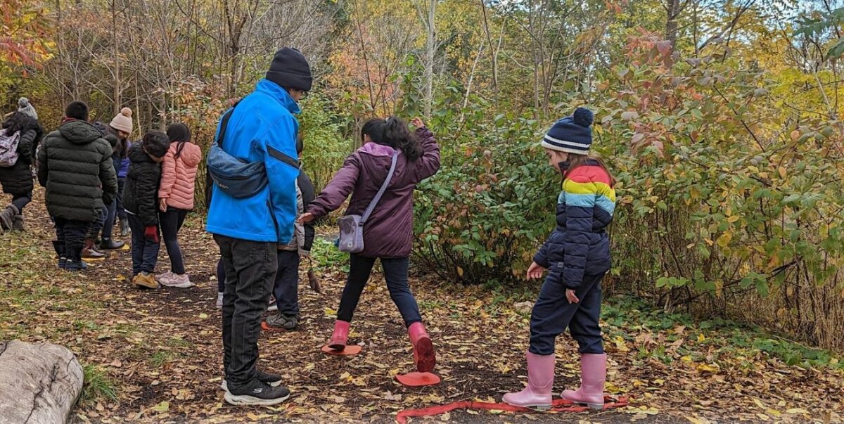 Nature Connection: Fall colours and Forest Games