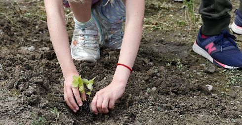 Nature Connection: Giving Thanks to Nature