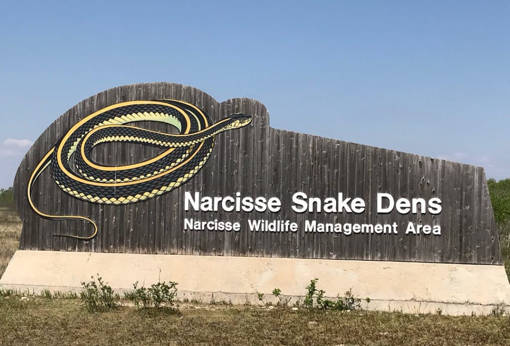 Narcisse Snake Dens