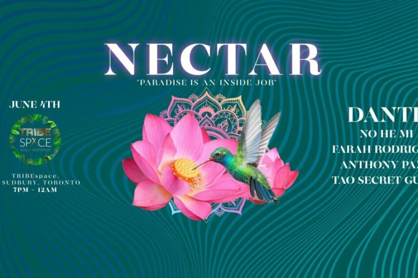 NECTAR: Paradise Is An Inside Job