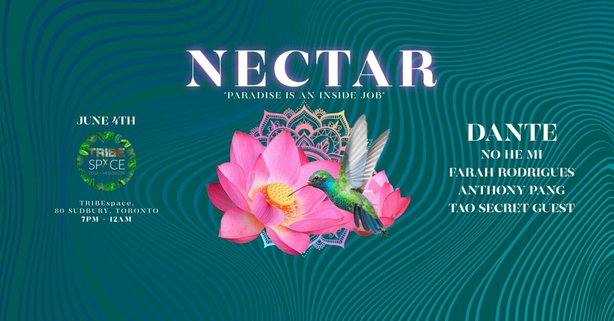 NECTAR: Paradise Is An Inside Job