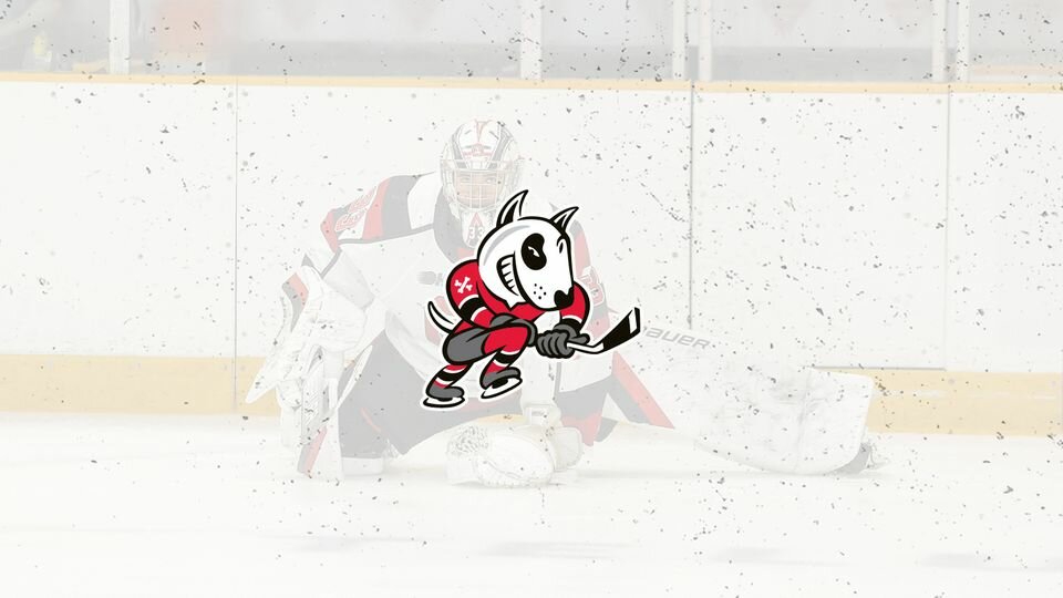 Ottawa 67s vs. Niagara IceDogs | TD Place Arena, Bank Street, Ottawa ...