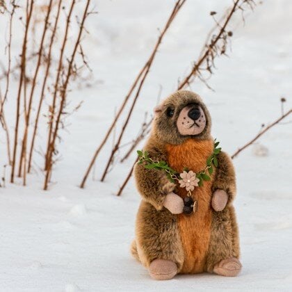 Predictions By Canada’s Groundhogs 2023