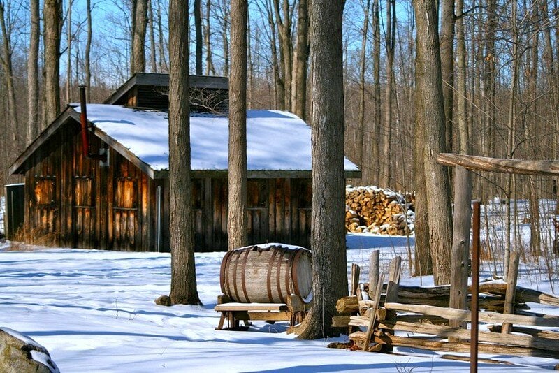 Ontario Maple Syrup Festivals and Sugar Shacks
