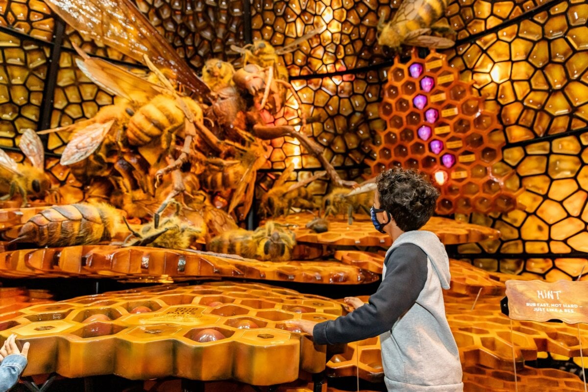 Ontario Science Centre Exhibits