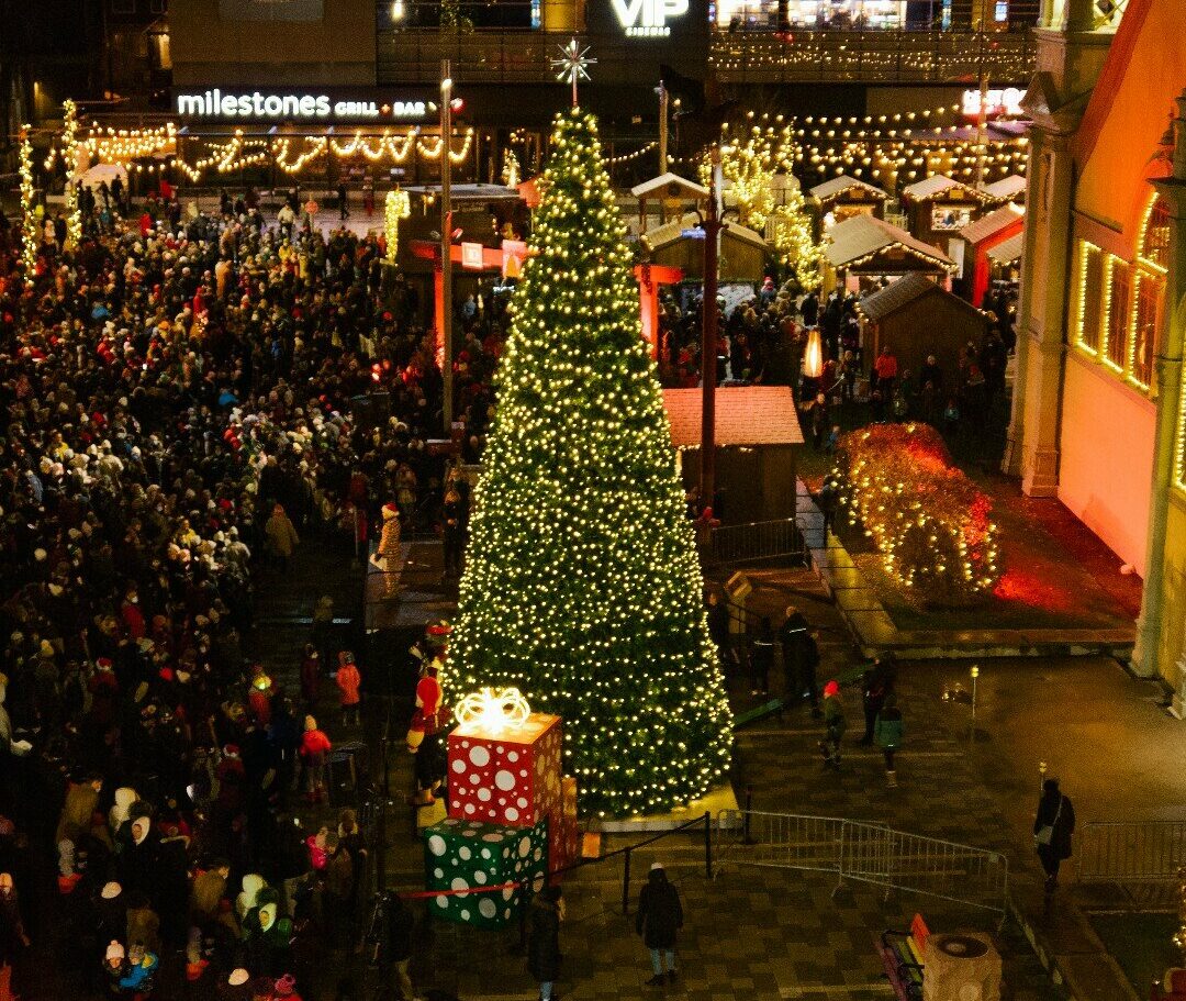 Things to Do at Ottawa’s Massive Christmas Market at Lansdowne This ...