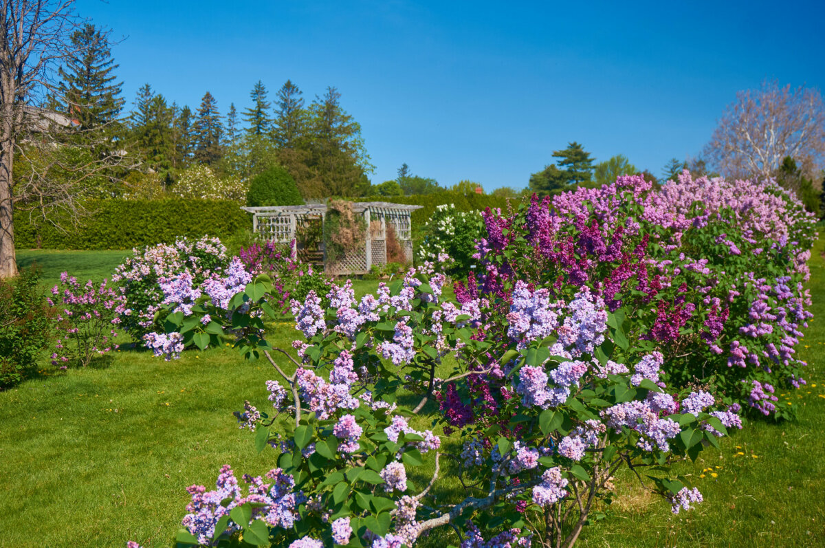 50+ Things to Do This Spring in Ottawa – 2025 Events & Festivals