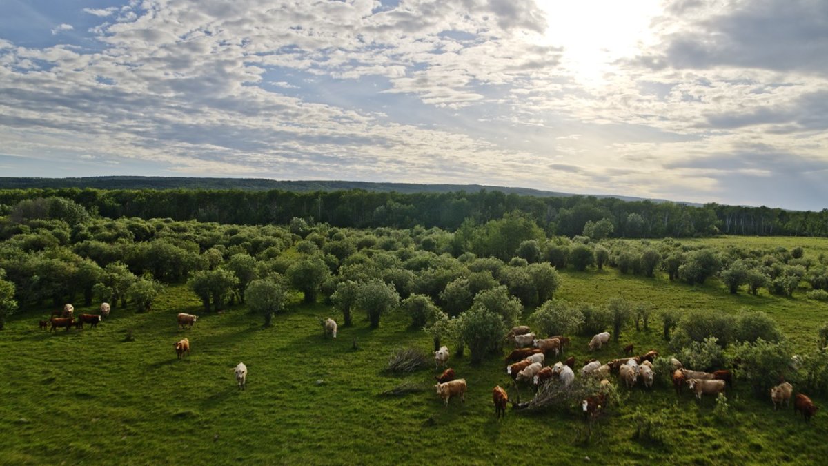 Outdoor Summer Adventures in the Parkland Region