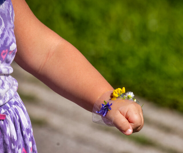 Jr. Forest Explorers: Valentines’ Day