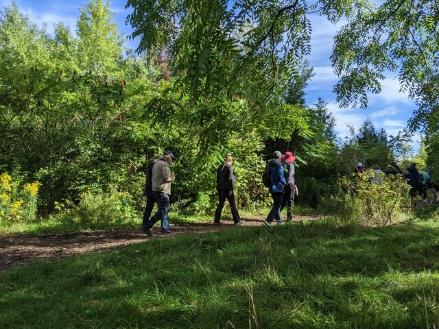Nature Connection: Signs of Spring Sap Walk
