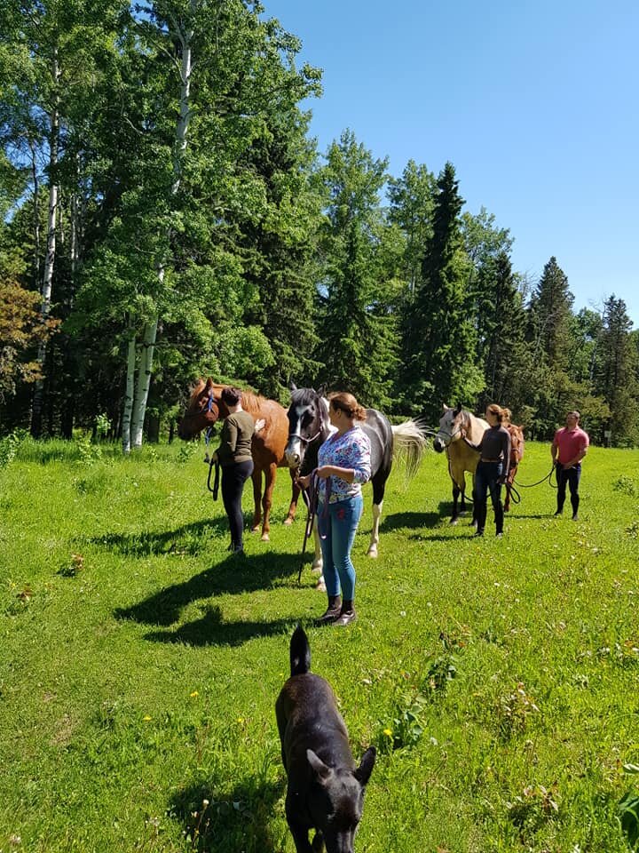Go on Indigenous Themed Outdoor Adventures This Summer Near Calgary ...