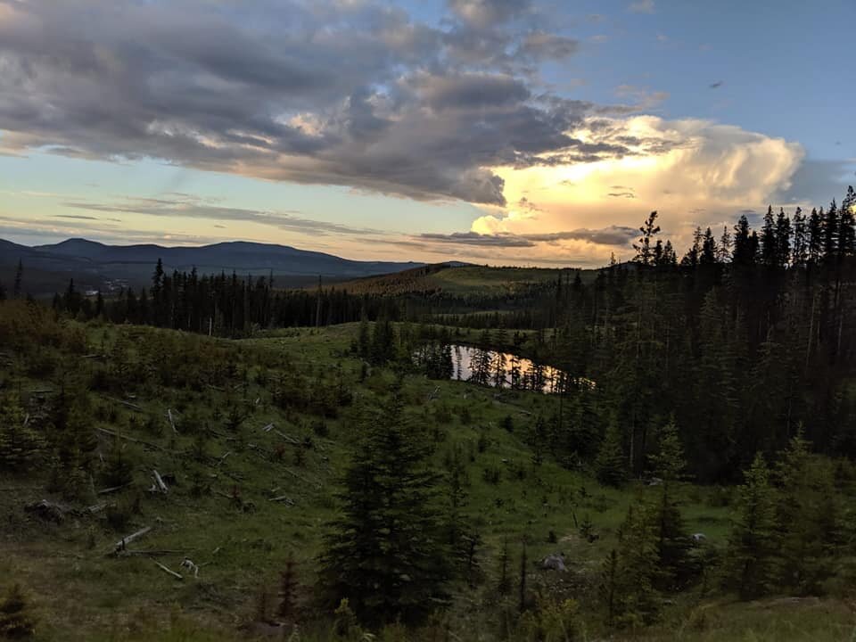 10 Ideas For a May Day Trip From Calgary