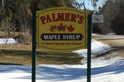 Ontario Maple Syrup Festivals and Sugar Shacks | To Do Canada