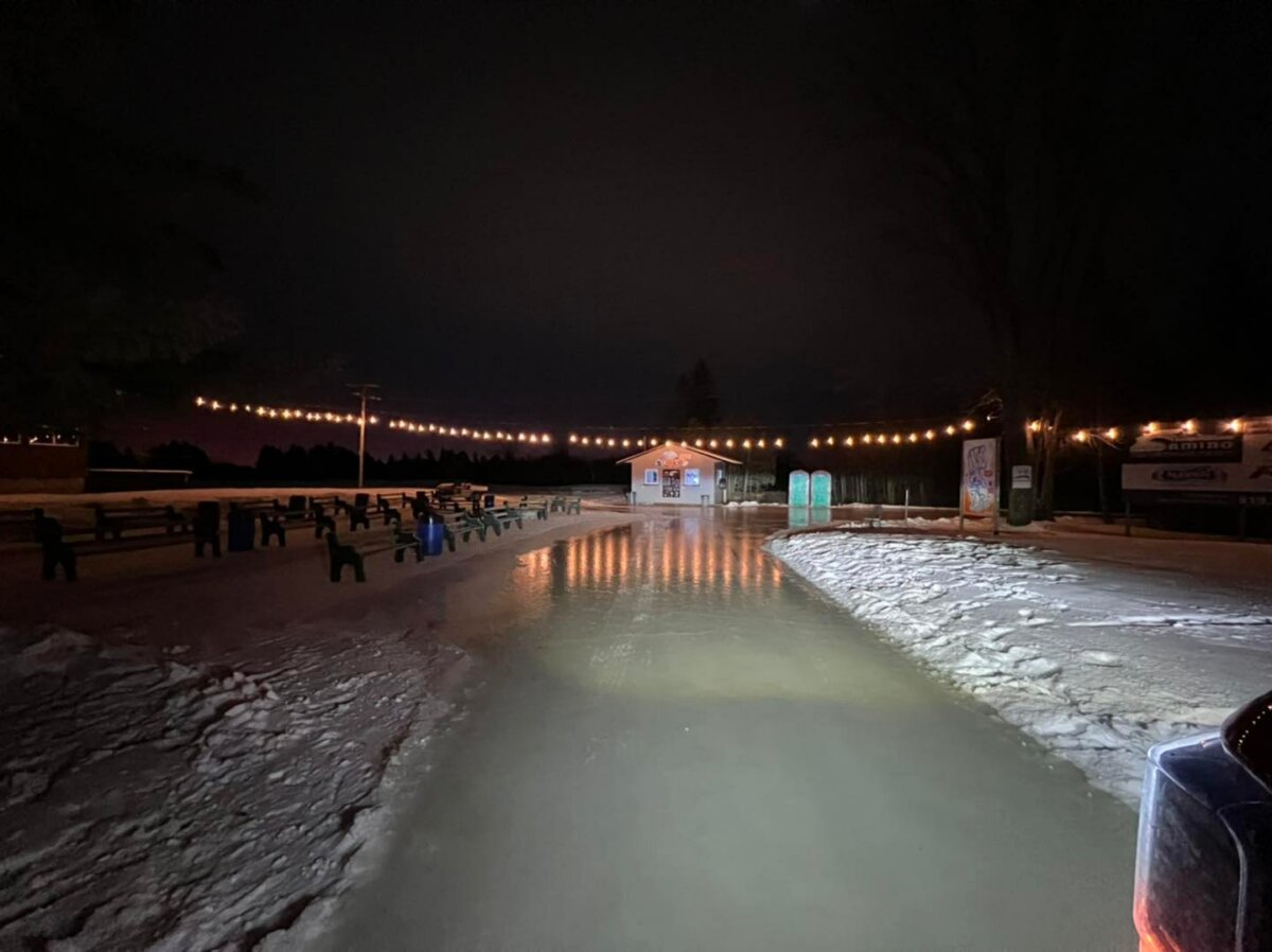 Little Penguin Trail: Explore This Enchanting 5.5 km Ice Trail with ...