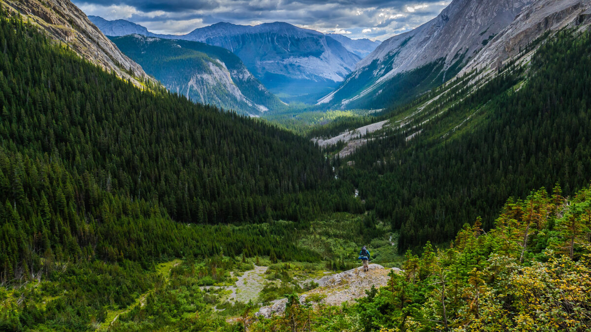 A Quick Guide For a Summer Trip to Peter Lougheed Provincial Park