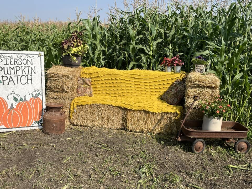 Corn Mazes and Pumpkin Patches in Manitoba