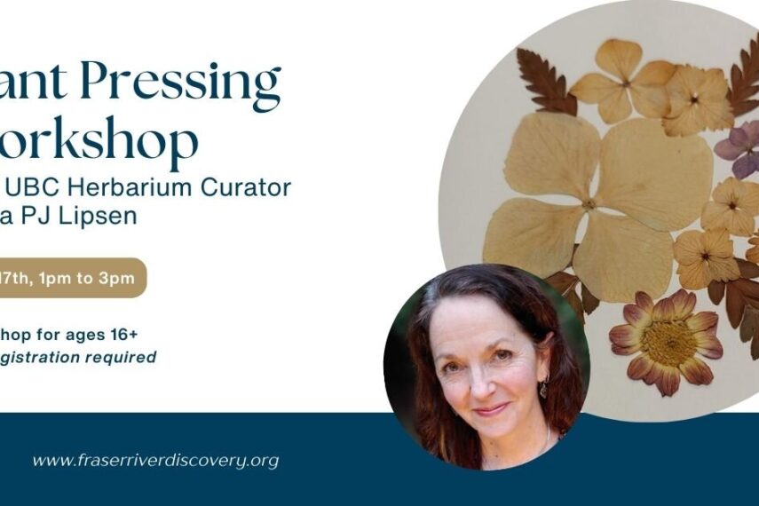 Plant Pressing Workshop