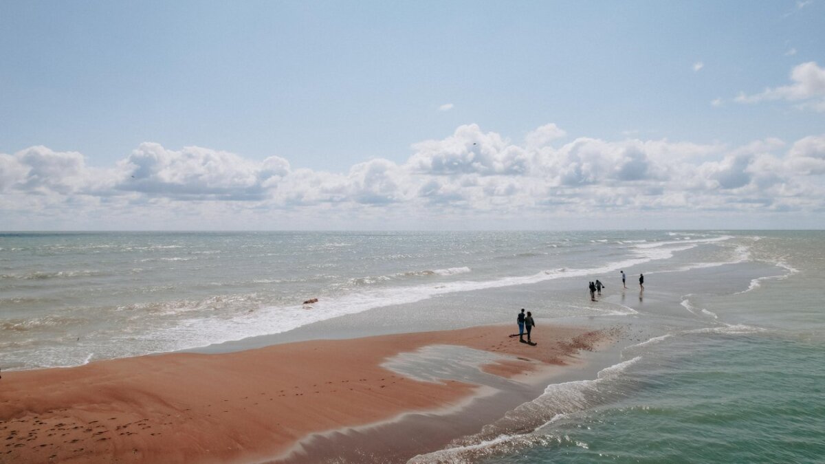 Explore Leamington: Summer Fun at the Gateway to Point Pelee National Park