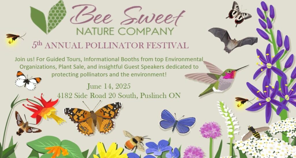 Pollinator Festival 2025
