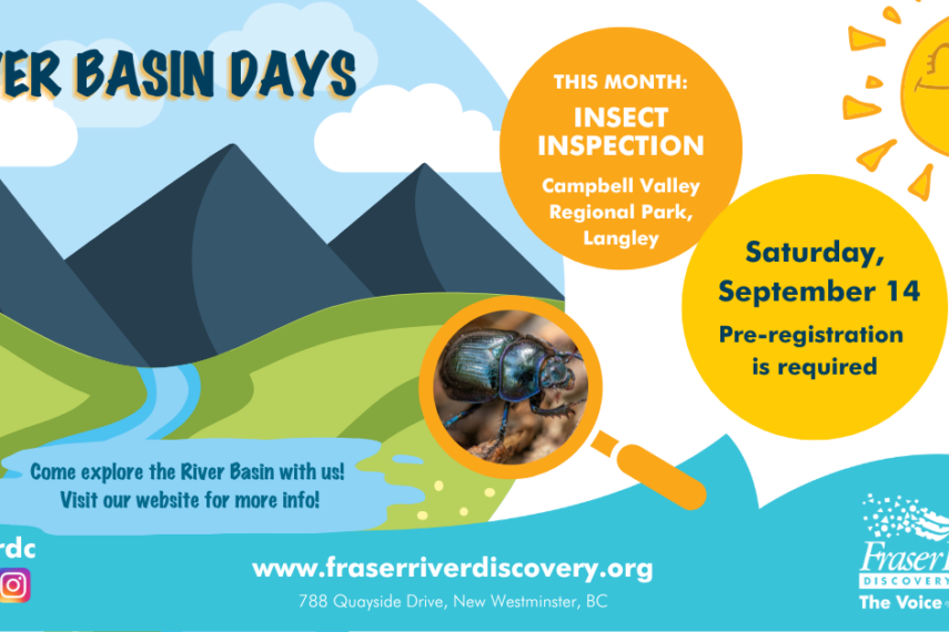 River Basin Days: Insect Inspection