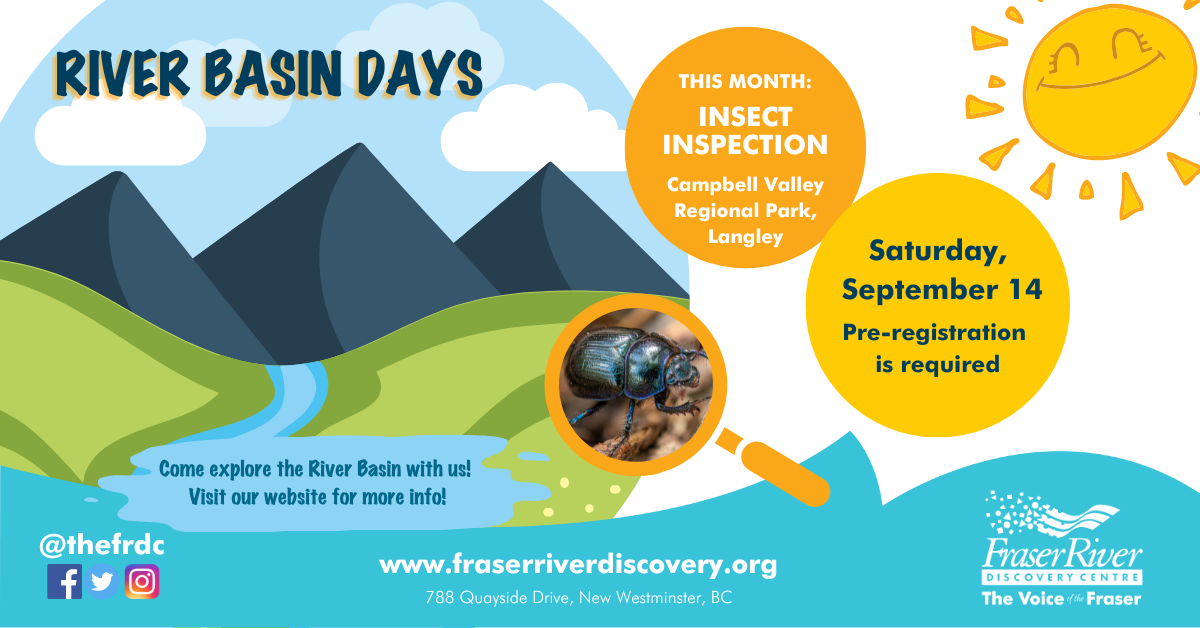River Basin Days: Insect Inspection