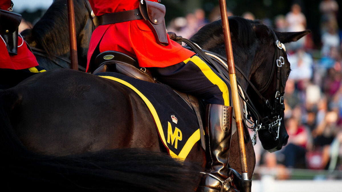 Spectacular Equestrian Skills: RCMP Musical Ride Gallops into Saskatoon ...