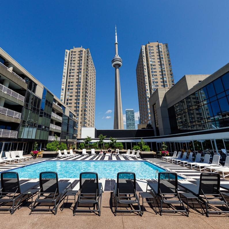 Annual Dog Dip Returns to Rooftop Lakeview Pool in Support of Toronto ...