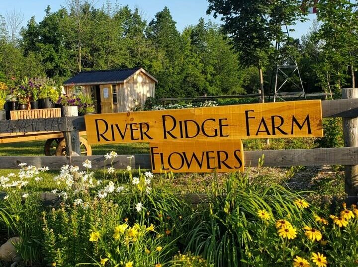 From Peonies to Sunflowers: Pick Your Own Flowers at River Ridge Farm ...