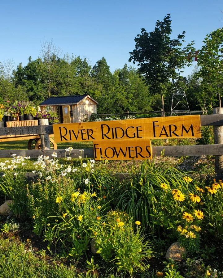 From Peonies to Sunflowers: Pick Your Own Flowers at River Ridge Farm ...
