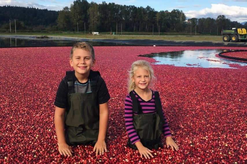 Cranberry Plunge & Cranberry Harvest Farm Tour – Riverside Cranberries