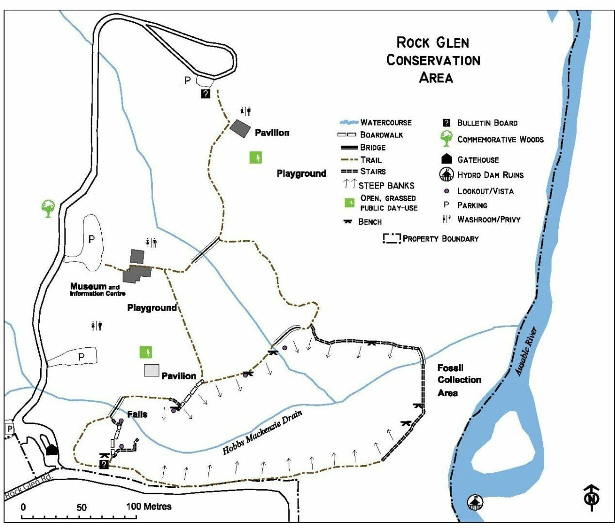 Fossil Hunt & Waterfalls: Explore the Wonders of Rock Glen Conservation Area