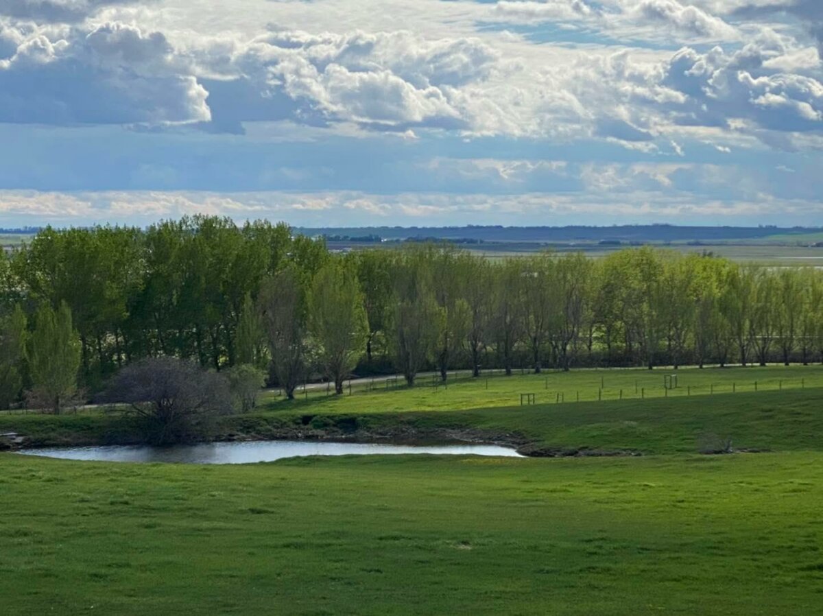 Rocking R Guest Ranch: Western Themed Getaway Near Calgary
