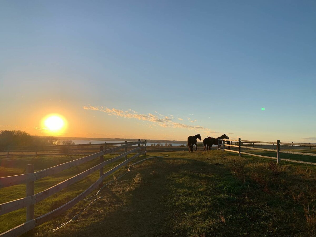 Rocking R Guest Ranch: Western Themed Getaway Near Calgary