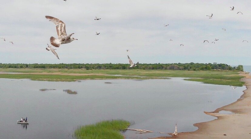 Unlock the Best of Rondeau Provincial Park: Hike, Bike, and Relax on ...