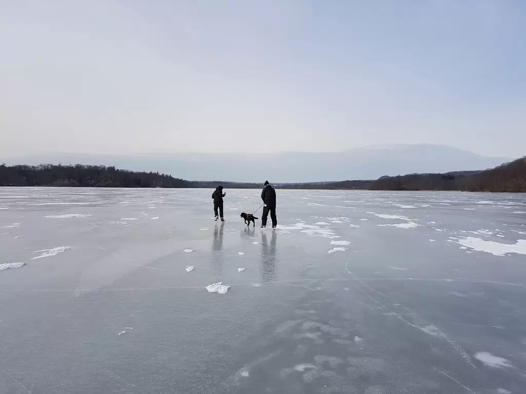 Outdoor Ice Skating on Cootes Paradise Marsh Near Toronto Now Open