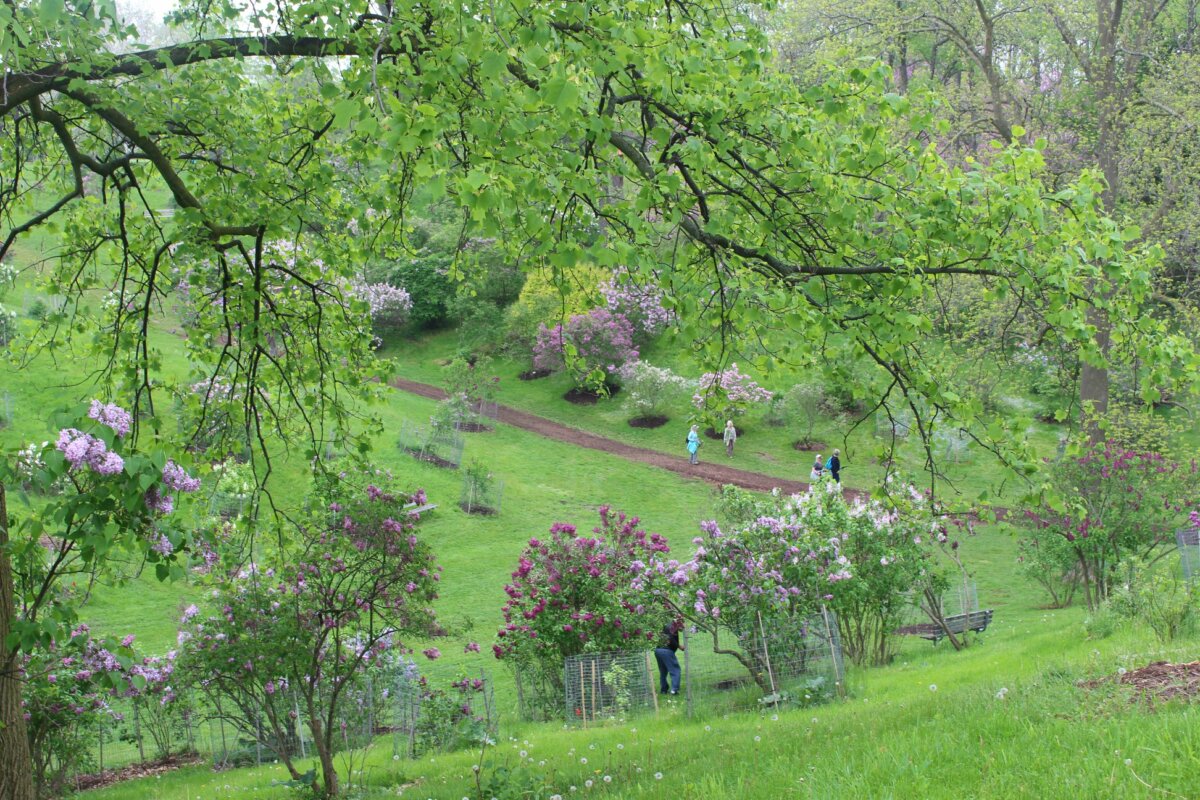 30+ Things to Do This Spring in Hamilton