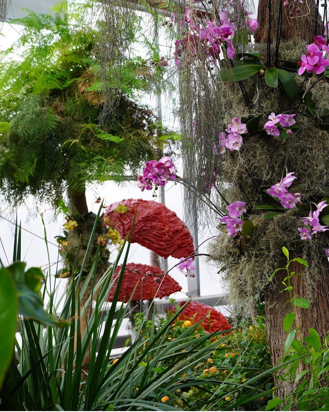 Alice in Bloomland: Escape to the Warmth of a Whimsical Wonderland in ...