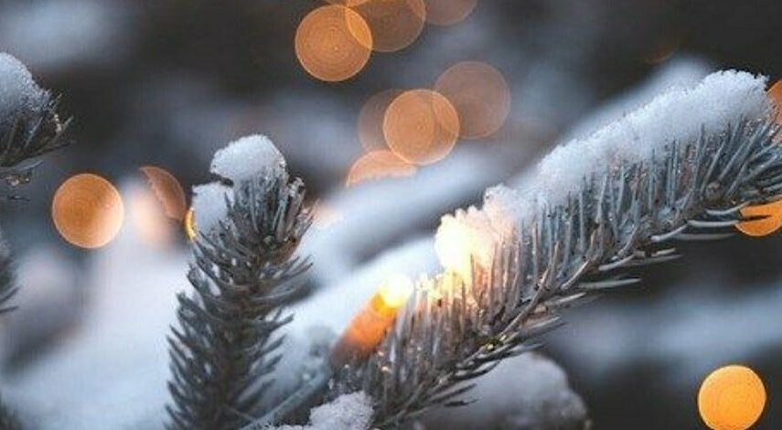 SIP & SAVE HOLIDAY POP UP