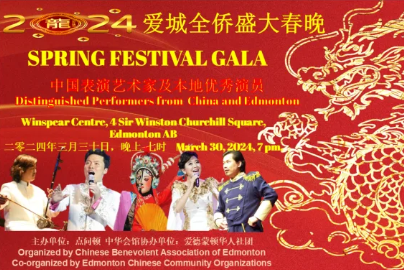 Spring Festival Gala