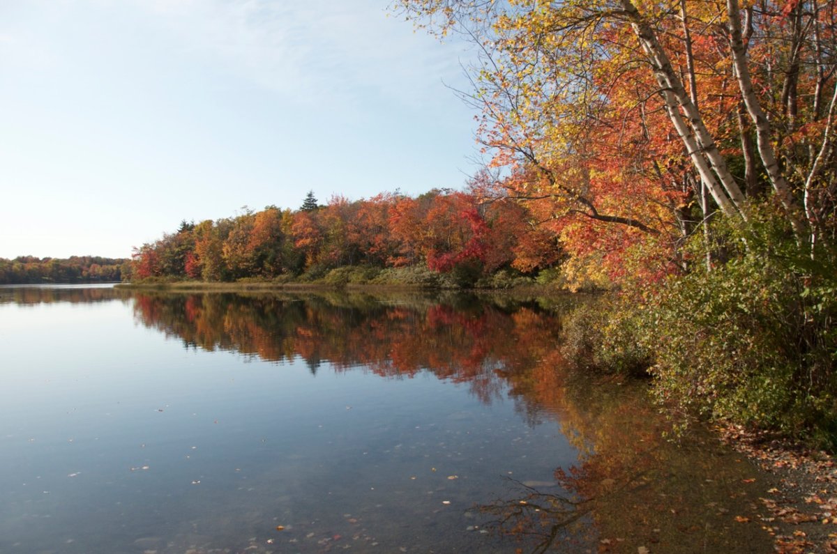 25 of the Best Hikes to Enjoy Fall in Halifax