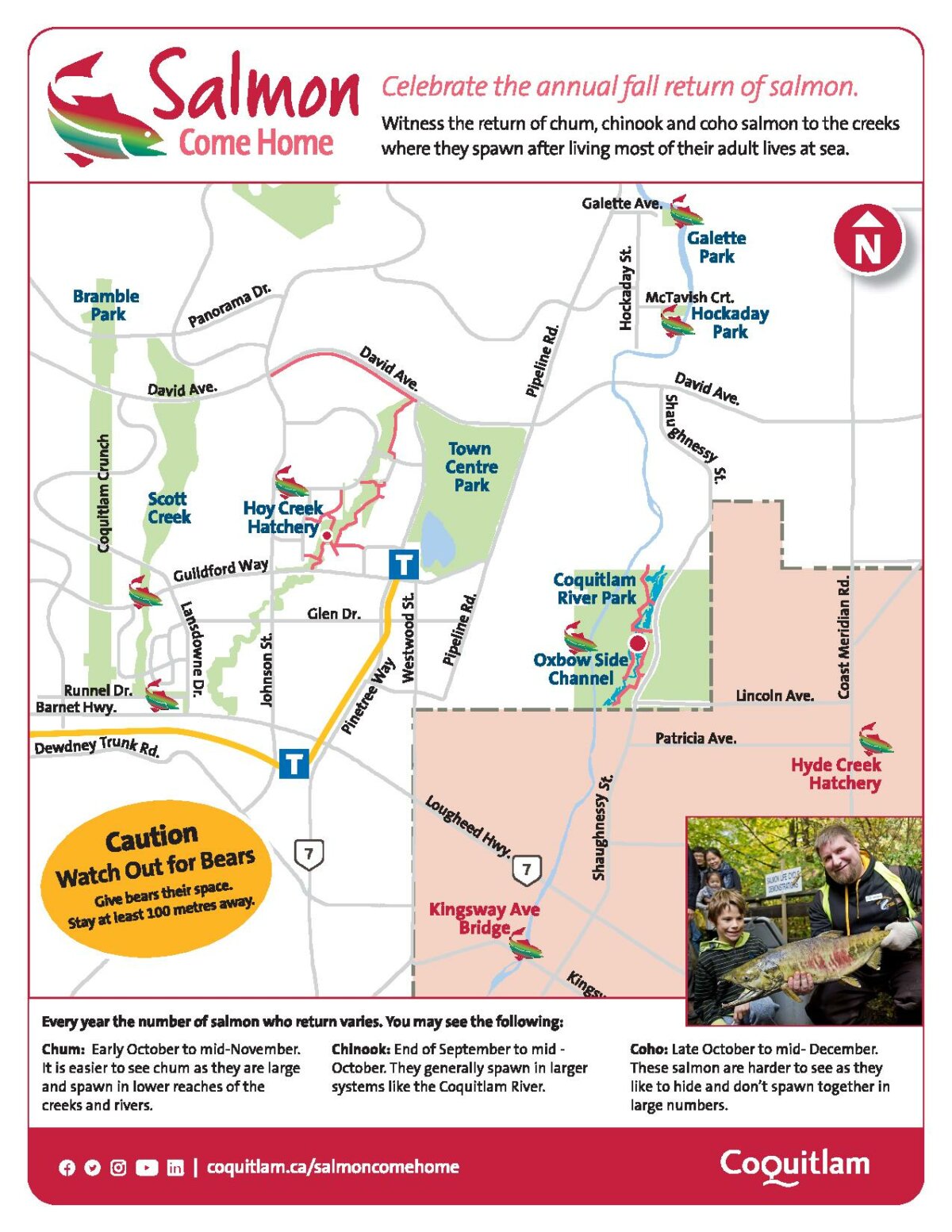 Places to See Salmon Run Around Metro Vancouver