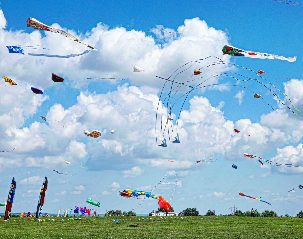SaskPower Windscape Kite Festival 2024: Kites, Crafts, and Kinetic ...