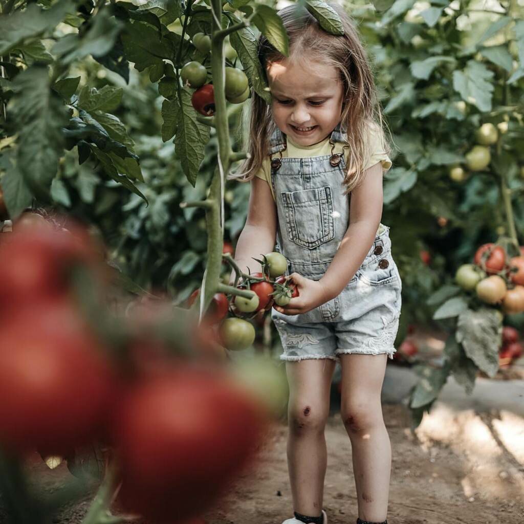 Saskatchewan Open Farm Days