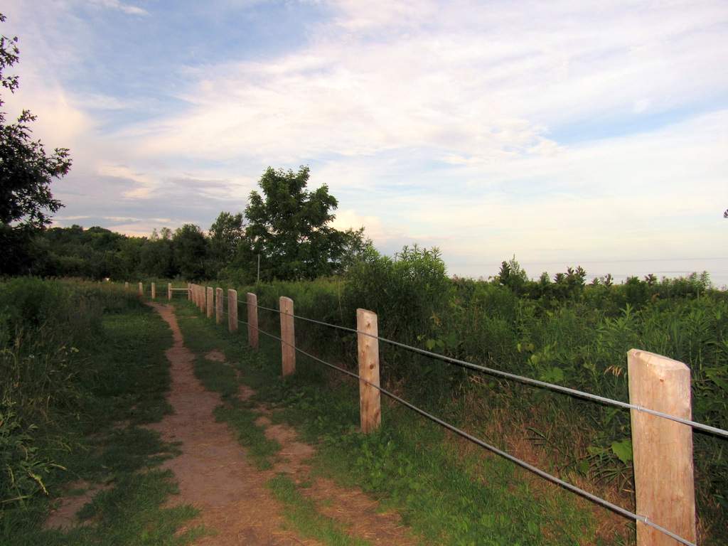 Scarborough Bluffs Park