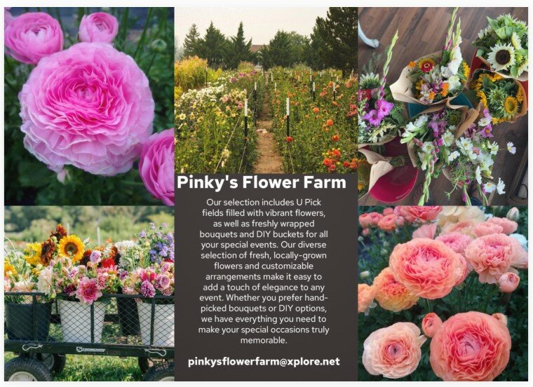 U Pick Flower Gardens